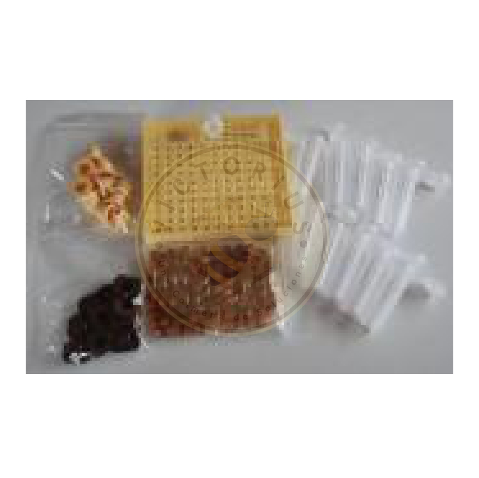 Kit nicot completo de cría de reinas – Apimarket Victorius