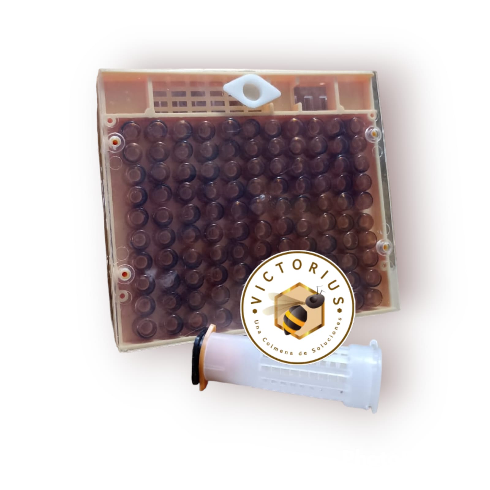 Kit nicot completo de cría de reinas - Apimarket Victorius
